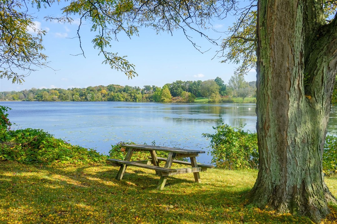 Spring Valley Park Kzoo Parks