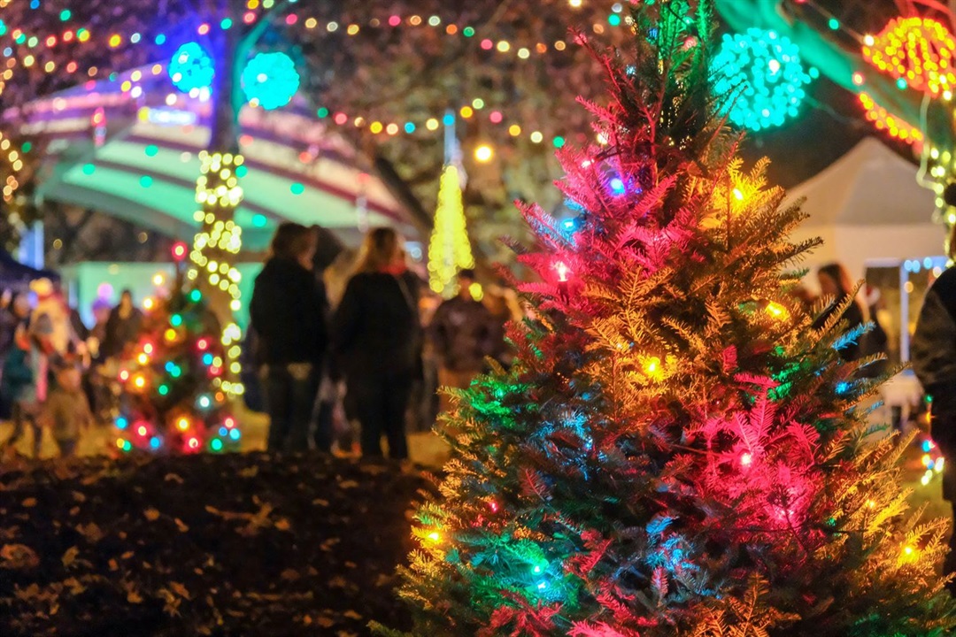 Tree Lighting Ceremony Kzoo Parks